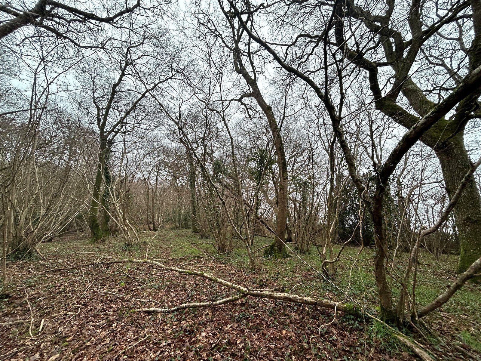 Yeovil Marsh, Yeovil, Somerset, BA21