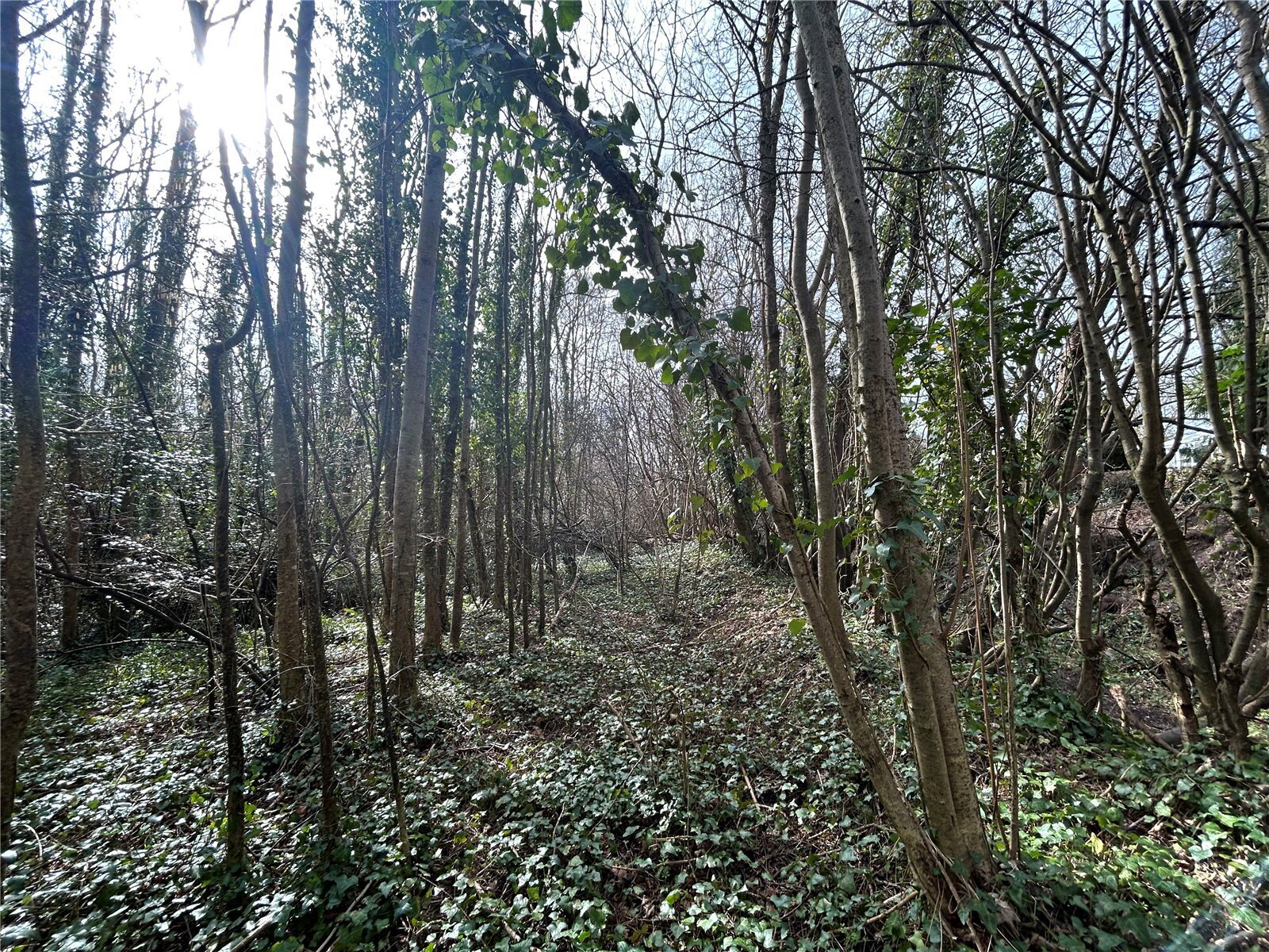 Yeovil Marsh, Yeovil, Somerset, BA21