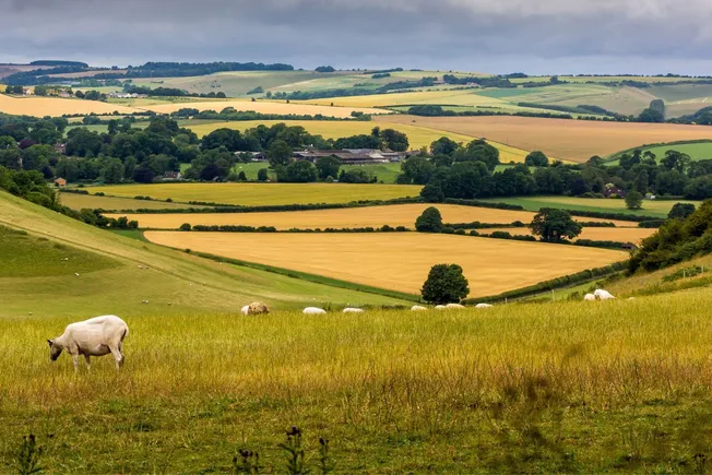 News | Navigating the complexities of converting agricultural land to ...
