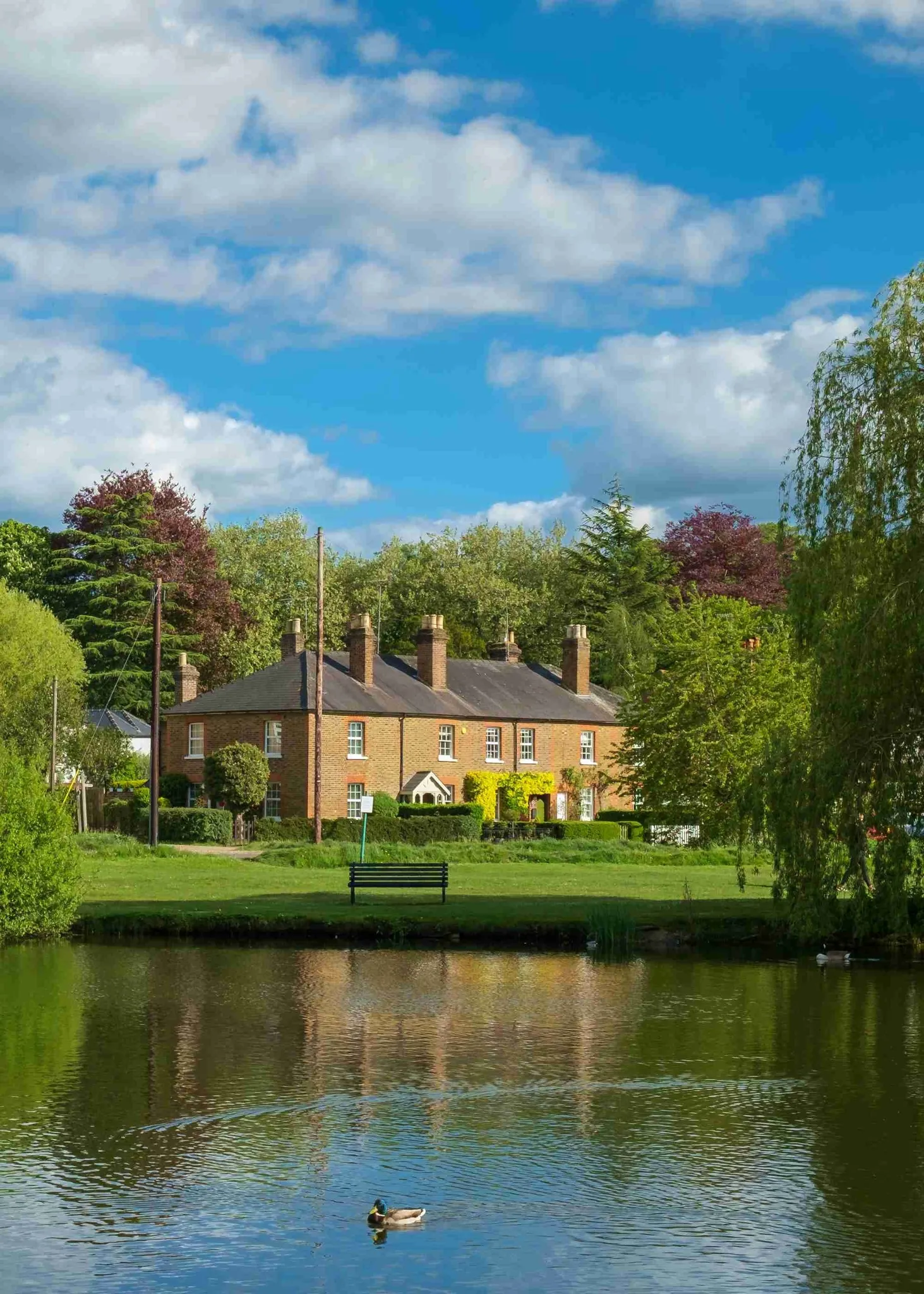 Esher Area Guide | Hamptons Estate Agents