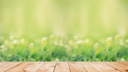 2024 Spring Gardening Trends | Sharman Quinney