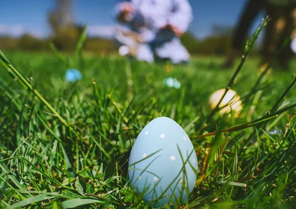 Blog | Hop into our virtual Easter egg hunt and explore our egg-cellent ...