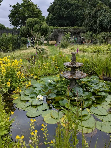 Open Gardens 2025 - Moseley in Bloom